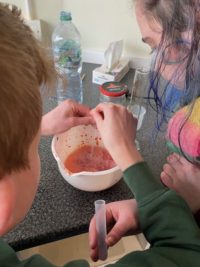 Gallery | Highgate Hill House School